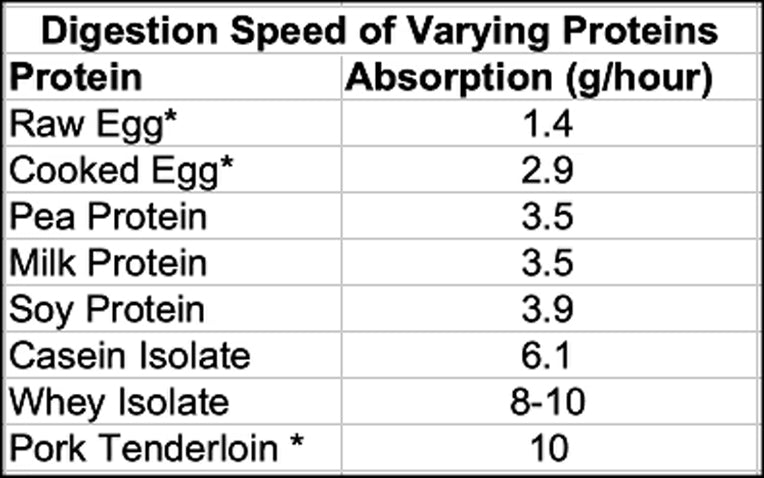 Protein bioavailability "The truth that the supplement industry does n ...